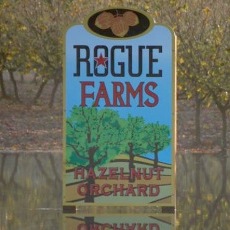 Rogue Farms Hopyard ravaged yet again by freakish heavy rains - BeerPulse